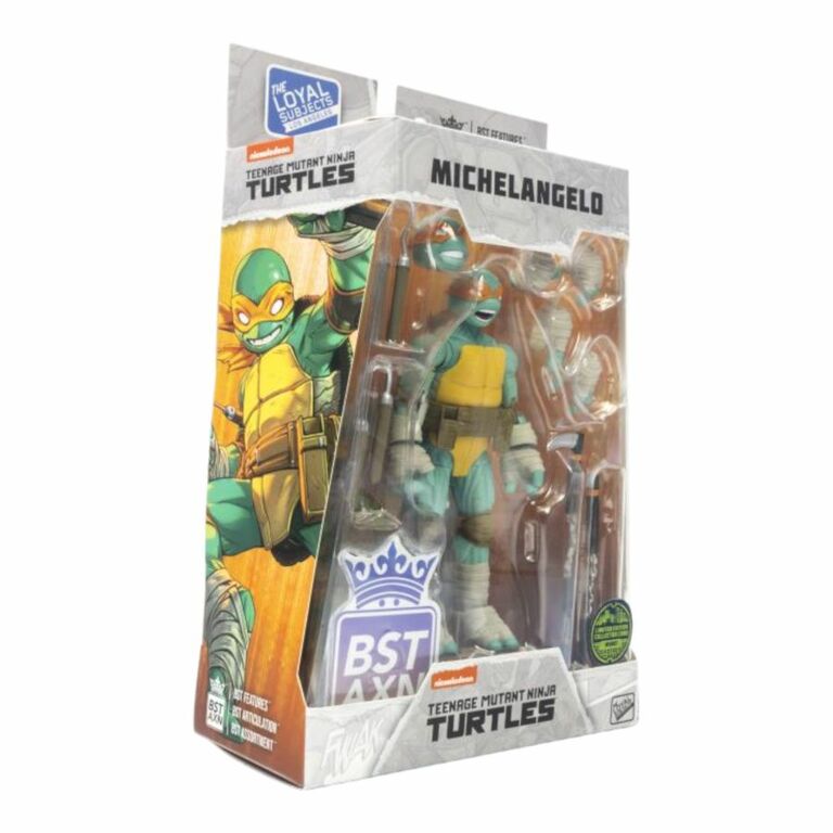 Teenage Mutant Ninja Turtles (comics) - Michelangelo Comic Heroes 5 ...